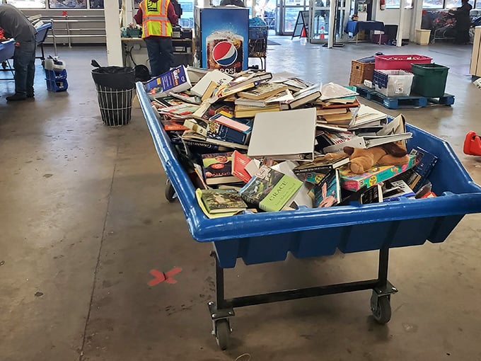 Literary treasures await the curious mind. This bin of books represents thousands of stories looking for their next chapter in someone's home.