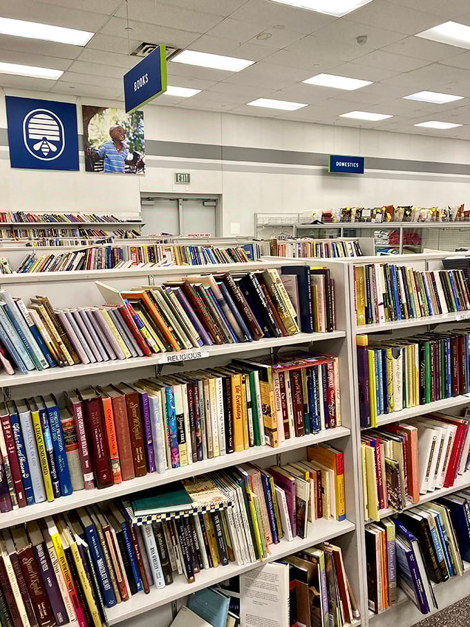 Literary treasures await between these shelves, where yesterday's bestsellers and forgotten classics find new readers at pocket-change prices.