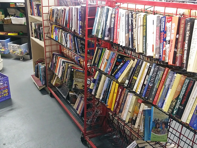 Bibliophile alert! These shelves hold more potential adventures than an Indiana Jones movie marathon. Literary treasures await at paperback prices.