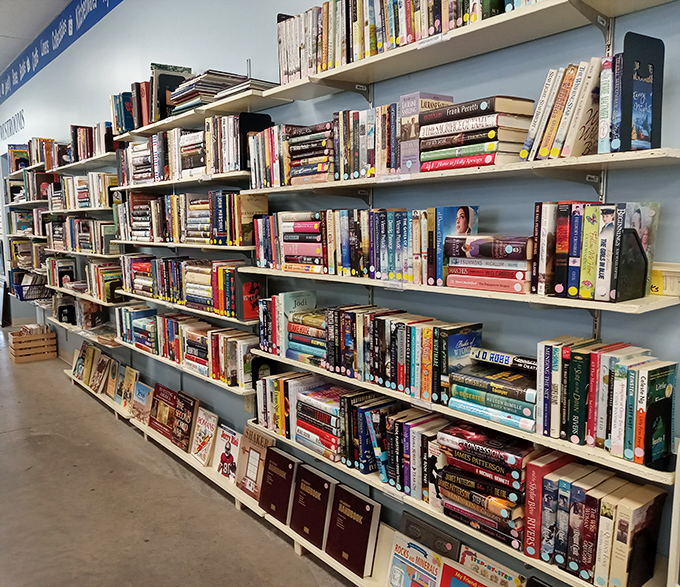 Bookworms rejoice! These well-organized shelves hold literary treasures from bestsellers to forgotten classics, all waiting for their next reader.