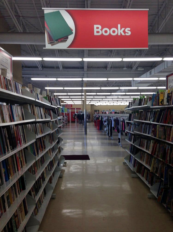 The book section &ndash; a literary time machine where bestsellers from three summers ago mingle with classics in perfect democratic harmony.