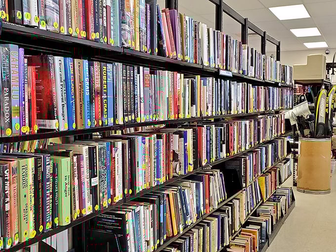 A bibliophile's dream where forgotten bestsellers find new readers. These shelves contain more stories than just those printed on the pages.