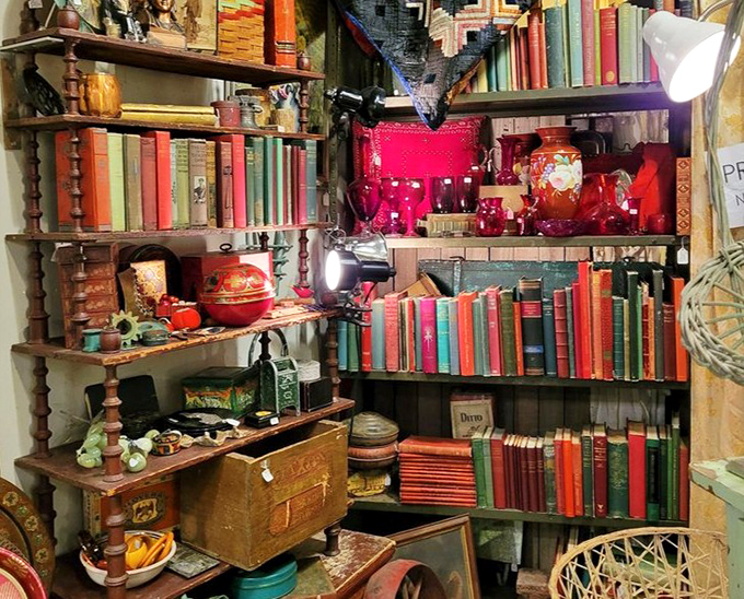 Literary adventures await between these weathered spines, each book a portal to forgotten worlds.