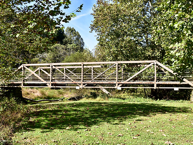 This sturdy footbridge connects trails across the park, looking like it belongs in a Robert Frost poem. Just begging for a contemplative stroll.