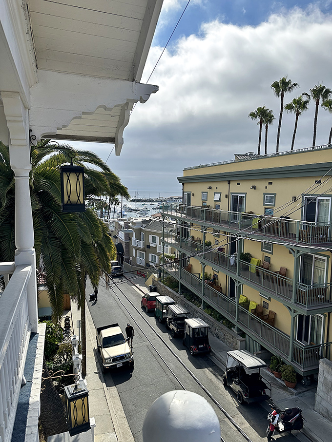 Island apartments with ocean views that would cost millions on the mainland. The palm trees are included in the deal.