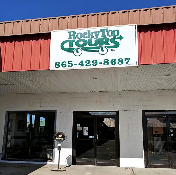 Rocky Top Tours: your gateway to Smoky Mountain adventures when your shopping bags get too heavy and nature starts calling your name.