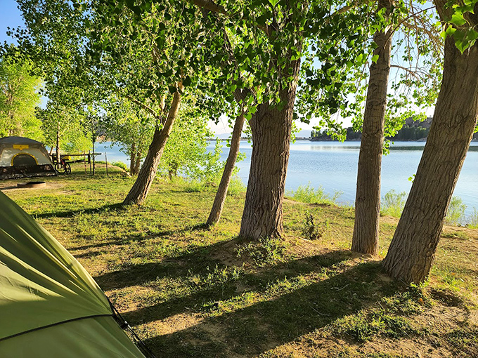 Camping with a view that makes tent setup frustrations instantly forgettable. Those trees provide shade and frame the lake like natural picture windows.