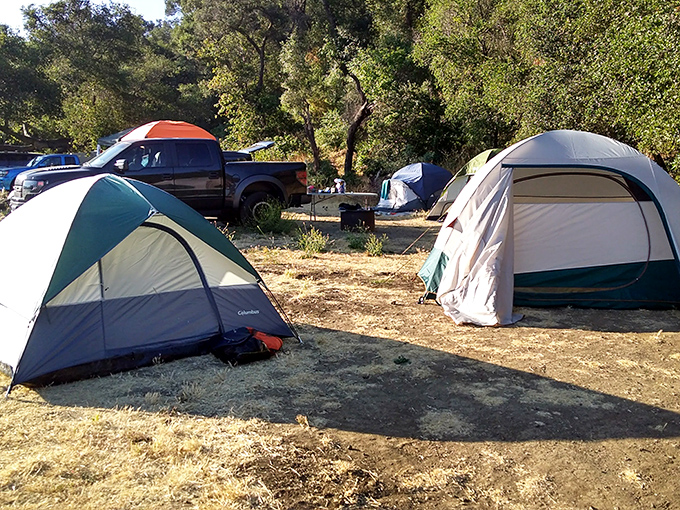 Tent city under ancient oaks – where the nightly entertainment consists of stars that don't need agents or makeup artists.