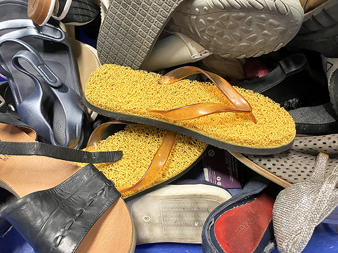 The shoe section reveals a kaleidoscope of footwear possibilities. At $2.99 per pair, even Cinderella could afford to be fashionably late.