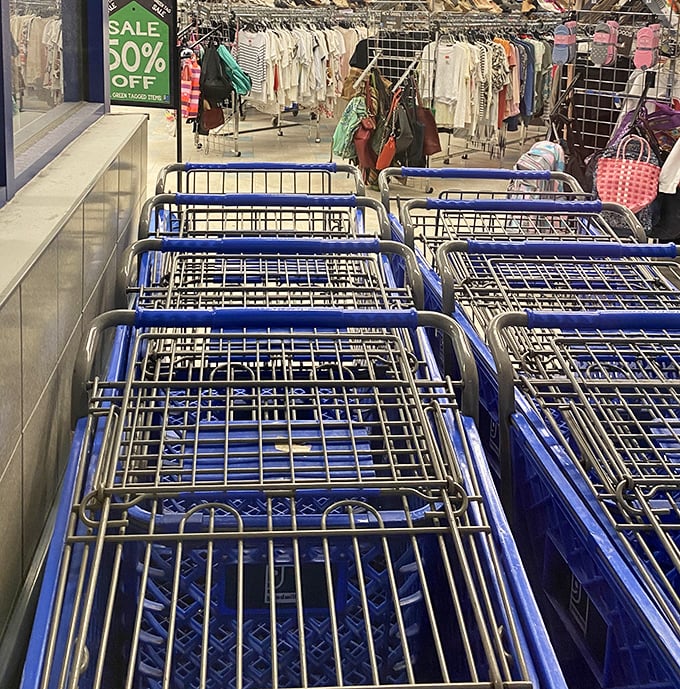 Blue shopping carts stand at attention, ready for their mission&mdash;filling them feels like a victory lap around retail norms.