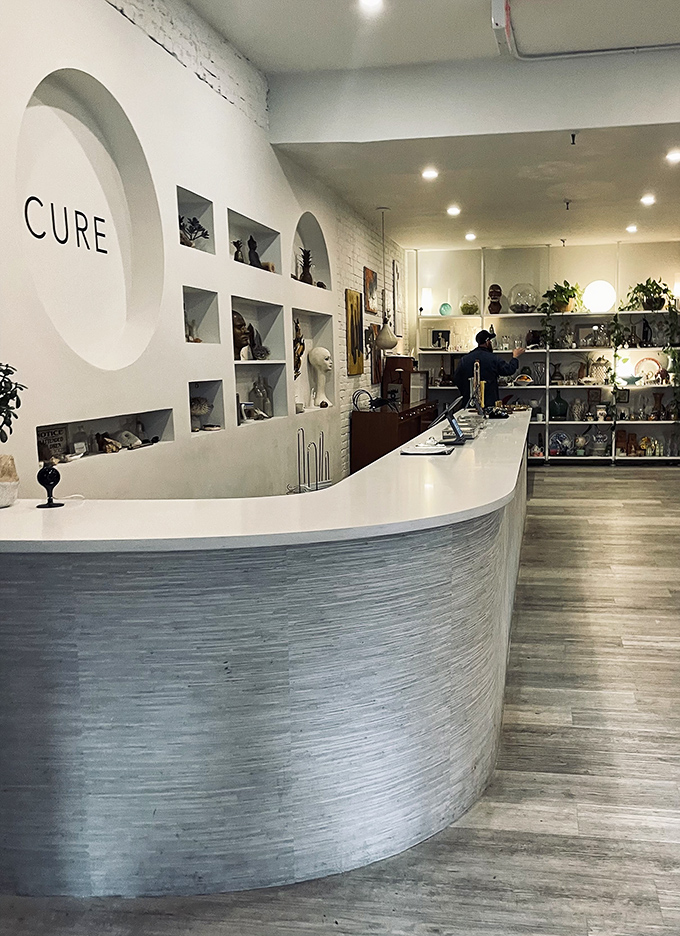 The curved reception counter welcomes shoppers with its sleek design, while built-in display niches showcase special collectibles.