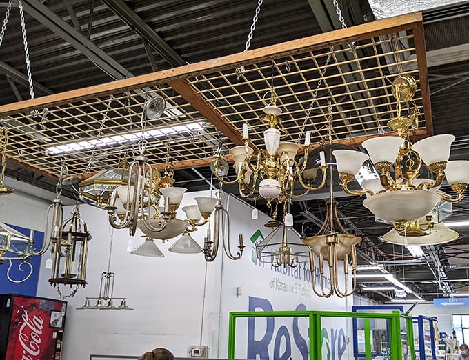 Chandeliers dangling like crystalline possibilities. Why settle for boring lighting when you could have conversation-starting elegance at thrift store prices?