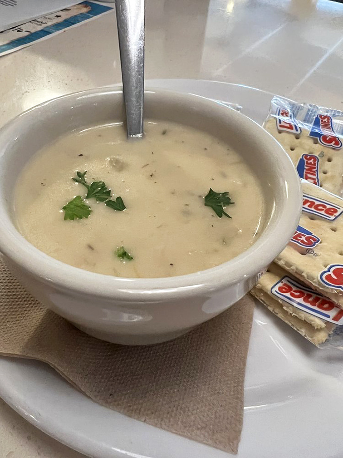 Clam chowder so creamy it should require a permission slip. Those little specks of herb are doing the Lord's work.