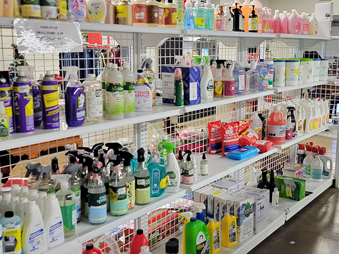 The cleaning product aisle: where yesterday's Pine-Sol becomes today's solution to that mysterious stain on your favorite shirt.