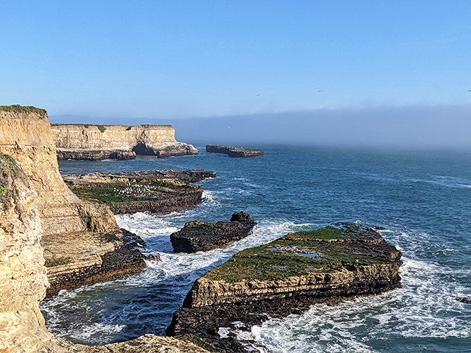 These magnificent coastal formations have been perfecting their pose for thousands of years. Talk about commitment to the perfect selfie spot!
