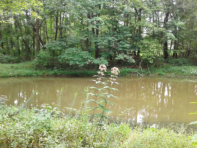 The creek below provides the soundtrack&mdash;a gentle burbling that's infinitely more soothing than your neighbor's leaf blower symphony.