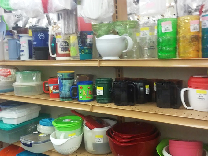 Kitchen essentials in every color imaginable&mdash;proof that your grandmother's Tupperware never truly disappears, it just migrates to MyUnique.