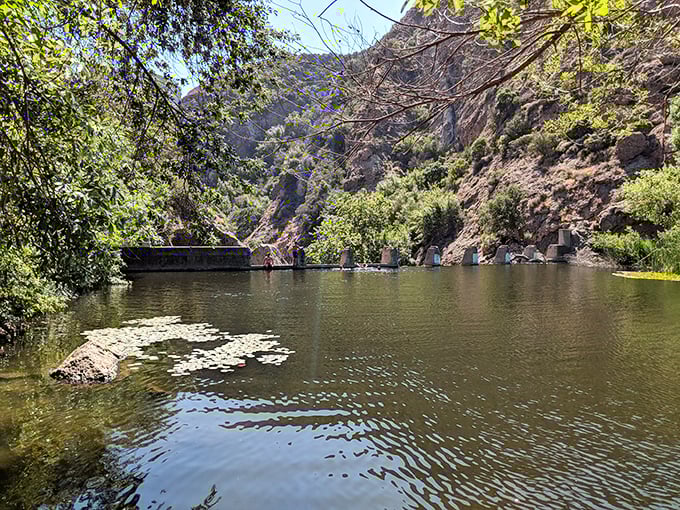 Rock Pool's dam creates the perfect swimming hole where geology, hydrology, and your desperate need to cool off intersect beautifully.