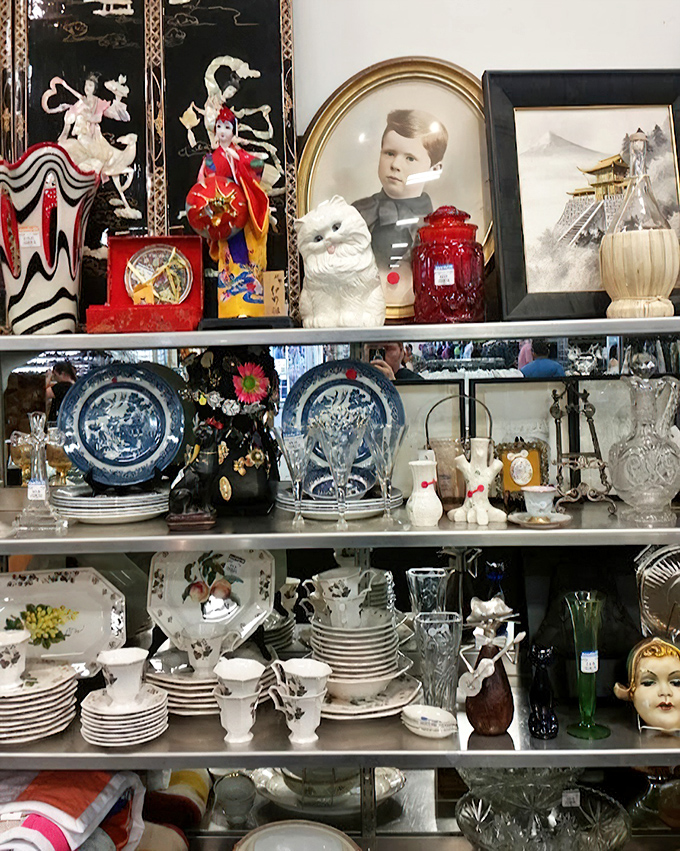Vintage photographs, ceramic figurines, and decorative plates – it's like your eccentric aunt's curio cabinet exploded across three shelves.