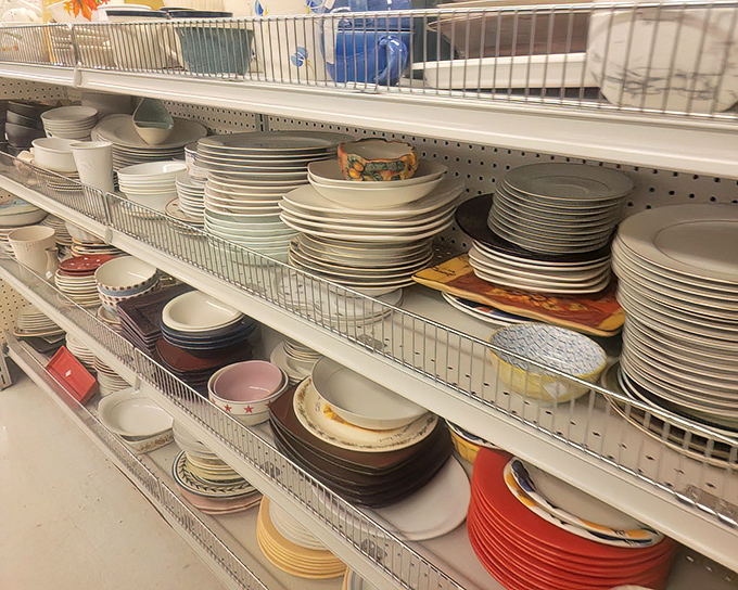 Plate paradise! From everyday white dishes to that one quirky pattern that matches nothing but sparks joy every time you see it.