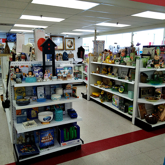 Knickknacks and collectibles arranged like a museum of everyday Americana. One person's decluttered shelf becomes another's conversation piece.