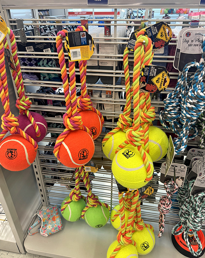 Dog toys with personality! These colorful rope-and-ball combos suggest your pup deserves hand-me-downs with the same thoughtfulness as the rest of the family.
