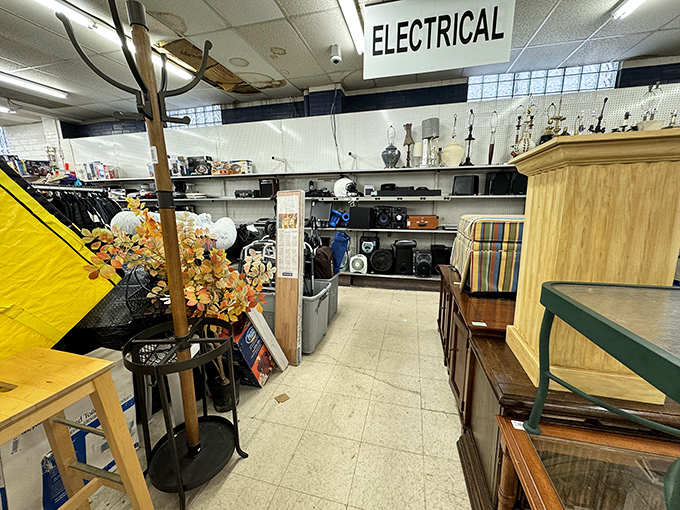 The electrical section: where vintage lamps, forgotten stereos, and that perfect replacement for the blender you broke last week patiently wait.
