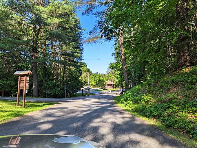 The park entrance doesn't exactly scream for attention, which is precisely why it's remained so blissfully uncrowded.