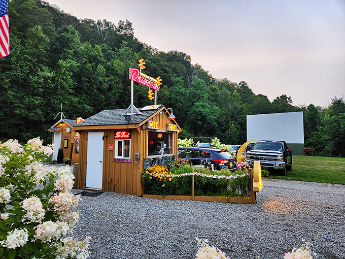 Rustic charm meets movie magic at the entrance, where flowering hydrangeas welcome film buffs to their outdoor cinema paradise.