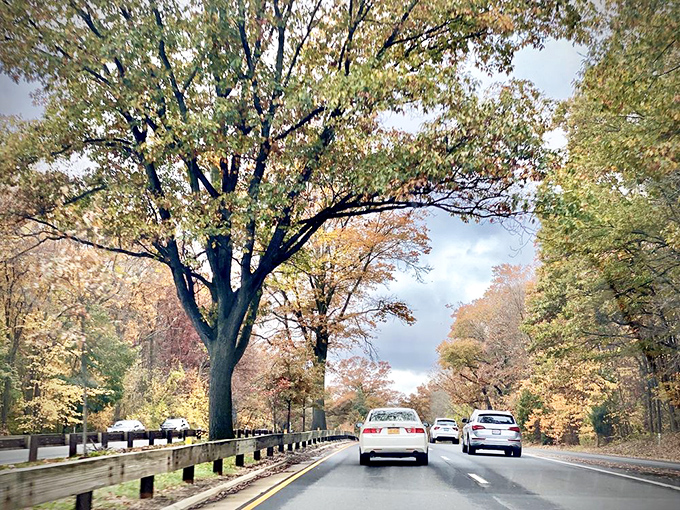 Mother Nature's autumn fashion show puts even New York Fashion Week to shame along this historic stretch.