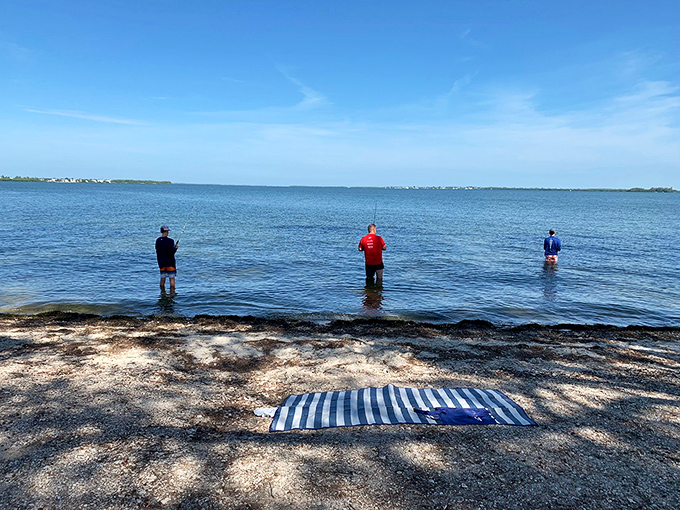 Three fishermen stand patiently in the shallows, practicing the ancient art of waiting. Their silhouettes against the blue water create a timeless Florida postcard.