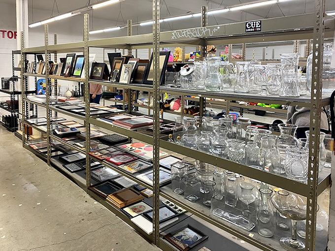 Picture frames and glassware create a treasure hunter's paradise—where someone else's "no longer sparks joy" becomes your "can't believe I found this!"