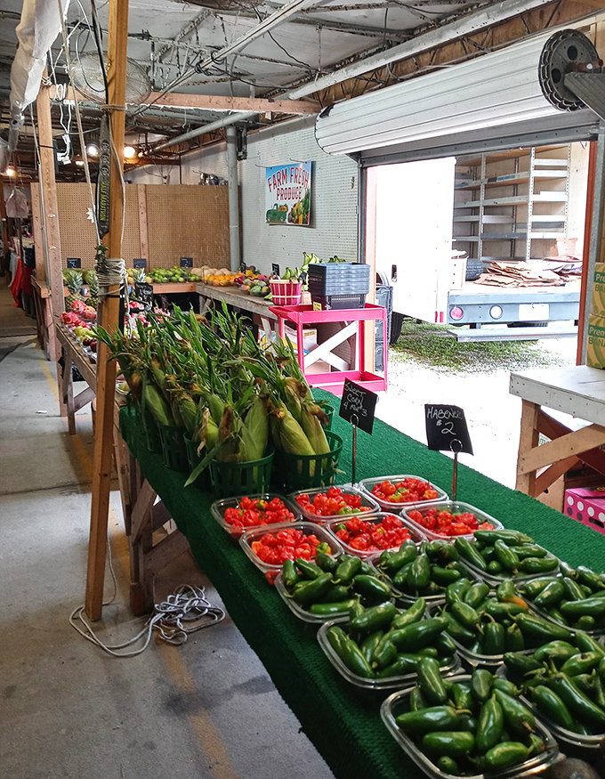 Nature's bounty displayed with farmer's pride. These peppers and tomatoes weren't just grown&mdash;they were raised with the kind of attention helicopter parents give their firstborns.