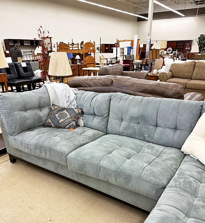 The furniture section resembles a living room museum where every couch has a story. That tufted blue sofa is practically begging for movie nights at your place.