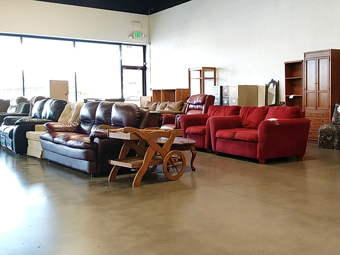 Furniture showroom or thrift store paradise? These sofas have stories to tell, and at these prices, you'll want to listen.