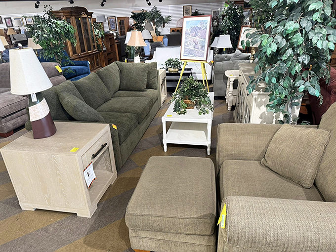 Living room setups that look straight out of a catalog, minus the sticker shock. That green sofa is practically begging for a Sunday afternoon nap.