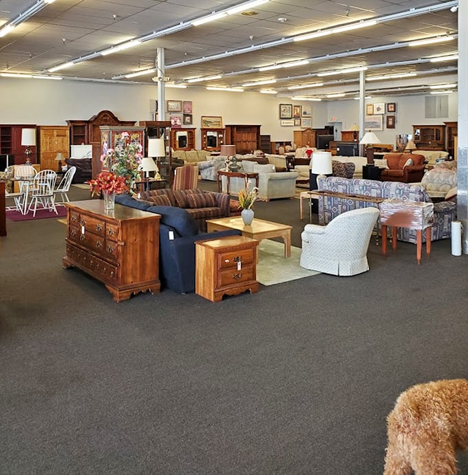 The furniture section&mdash;where sofas gather like old friends at a reunion, each with character lines earned through years of faithful service.