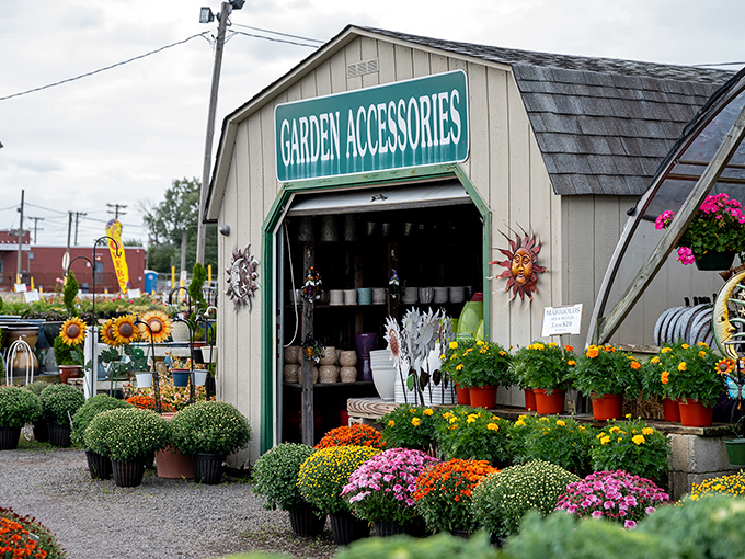 Garden accessories that transform ordinary yards into botanical showcases. Fall mums create a rainbow of autumnal colors that would make Mother Nature herself stop for a selfie.