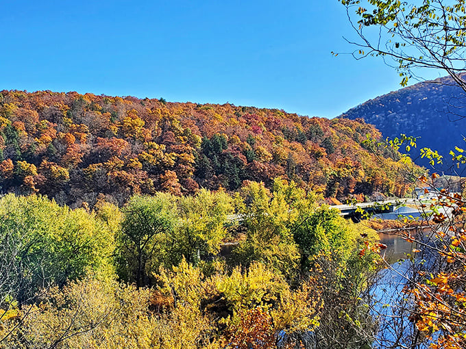 Autumn's fashion show in full swing. The hillside struts its seasonal couture&mdash;a designer collection of crimson, amber, and gold.