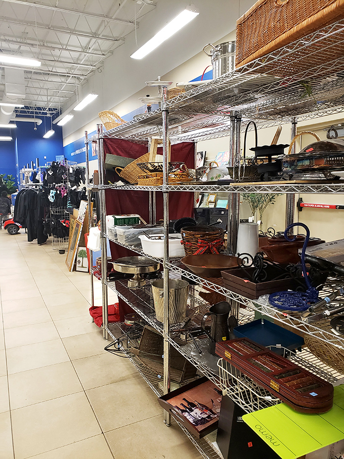 The housewares section: a metallic jungle gym of potential dinner party conversation pieces and that perfect serving bowl you didn't know you needed.