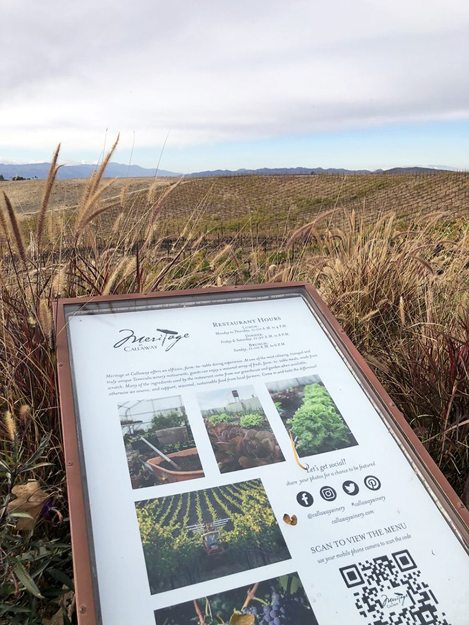 Beyond the ornamental grasses, this informational signpost offers a taste of what's growing in Callaway's carefully tended culinary gardens.