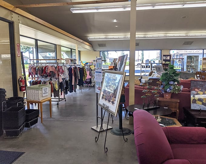 Department store organization without department store prices. The wide aisles and clear signage make treasure hunting less "hunt" and more "discover."