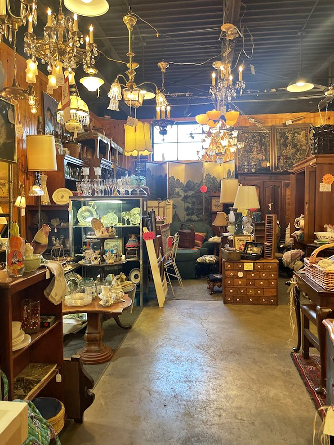 Chandeliers hanging like crystalline stalactites in a cave of wonders, illuminating pathways through furniture that's survived longer than most marriages.