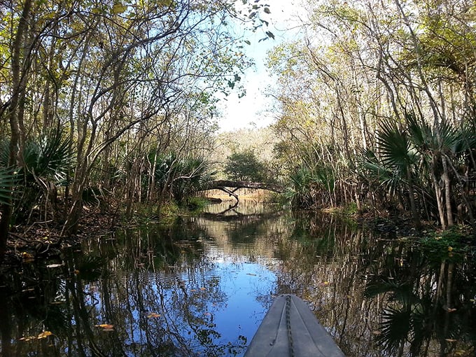 Gliding through Abbeville's peaceful waterways feels like traveling through a living postcard&mdash;an affordable adventure in your own backyard.