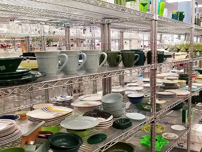 Dish paradise! Where mismatched plates become "eclectic collections" and vintage Pyrex inspires spontaneous casserole ambitions.