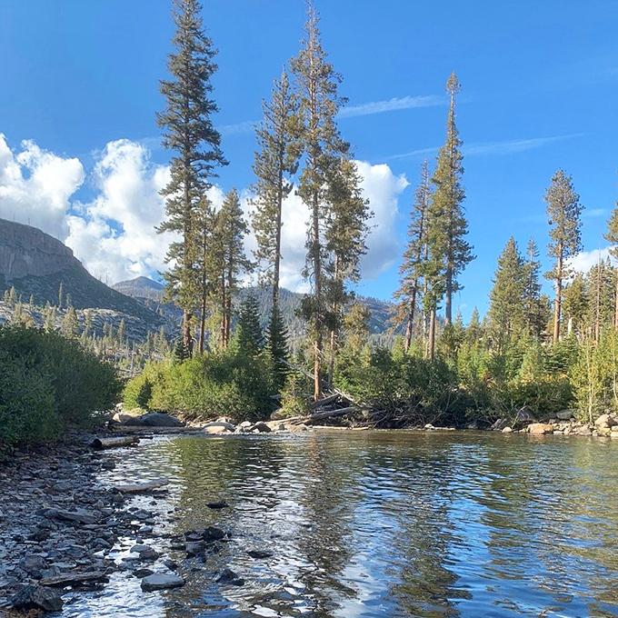 Crystal clear waters reflect towering pines like nature's mirror. The kind of place that makes you whisper instead of talk.