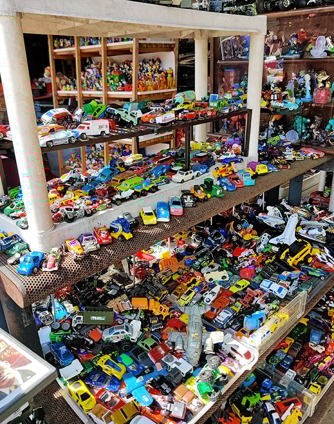 Toy car heaven that would make any collector's heart race. Each miniature vehicle holds someone's childhood memory, waiting for its next adventure.
