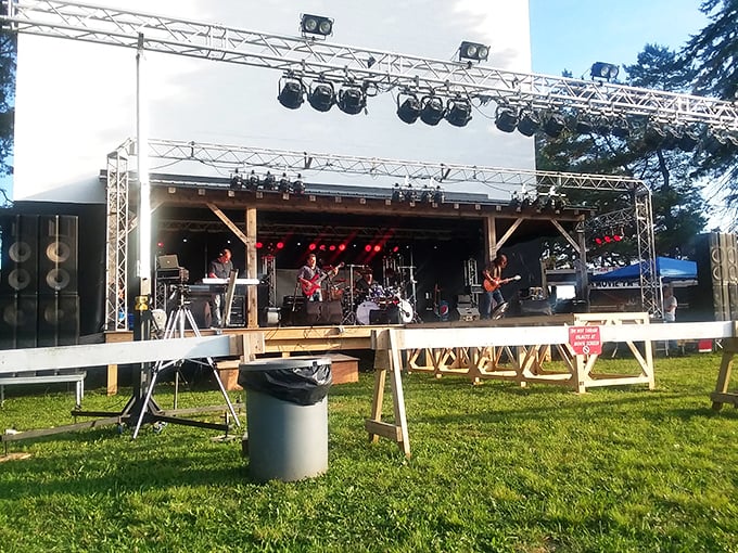 Musicians take the stage where the silver screen normally reigns. It's like Coachella for people who prefer lawn chairs to flower crowns.