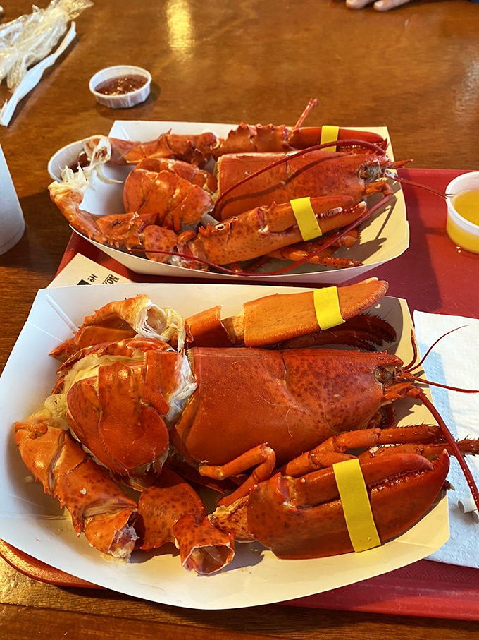Lobsters arrive like royalty in their vibrant red armor, rubber-banded claws signaling it's time to don your bib and embrace the delicious battle ahead.