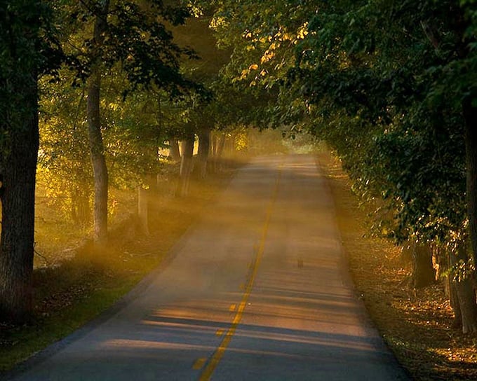 Golden hour on Old Frankfort Pike—when the light hits just right and suddenly your car feels like a time machine.